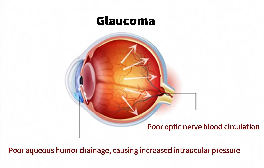 臺中榮總國際醫療中心 Taichung Veterans General Hospital International Medical Service Center